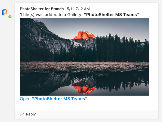 Microsoft Teams Integration – PhotoShelter for Brands Support Center