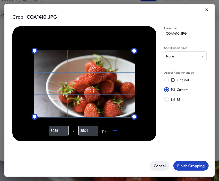 Cropping Images on Download – PhotoShelter for Brands Support Center